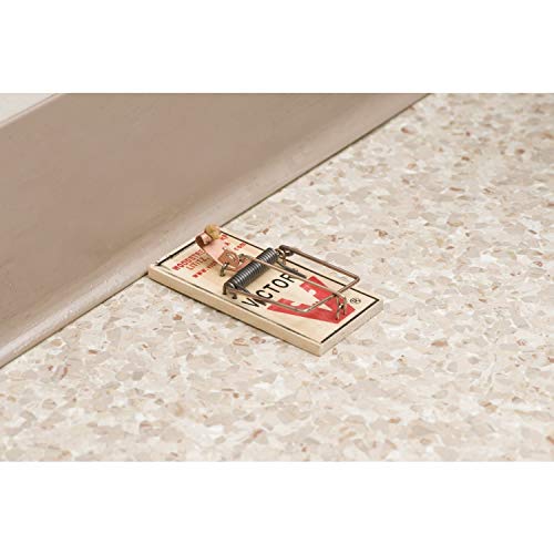 Victor M154 Metal Pedal Mouse Trap, Pack of 12