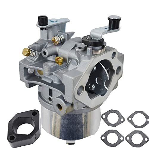 raseparter 491912 Carburetor Replacement for Briggs & Stratton 491912 161436 161432 Lawn Garden Mower Engine with Gaskets