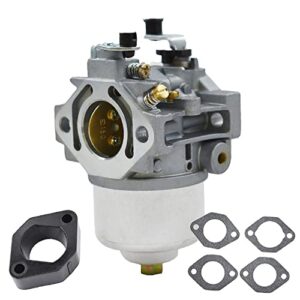 raseparter 491912 Carburetor Replacement for Briggs & Stratton 491912 161436 161432 Lawn Garden Mower Engine with Gaskets