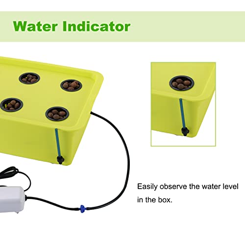 MYFULLY Hydroponic System Growing Kit | Plants Herb Garden Starter Set DIY Self Watering Indoor Hydroponics Tools with Large Bubble Stone Rockwool Bucket Air Pump (6 Sites)