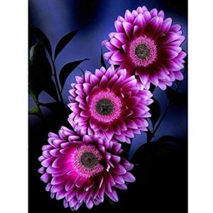 GMNP0di% Sunflower Seeds to Plant Purple Sunflower Seeds Ornamental Plant Home Garden Yard Farm Office Decor Non-GMO Seeds Purple Sunflower Seeds