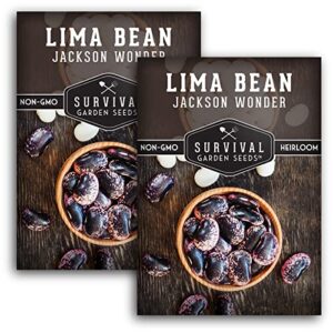 survival garden seeds – jackson wonder lima seed for planting – 2 packs with instructions to plant and grow purple speckled butter beans in your home vegetable garden – non-gmo heirloom variety