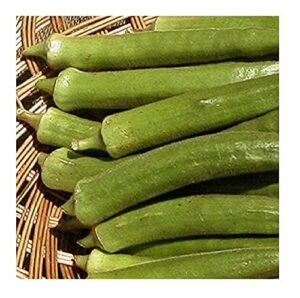 david’s garden seeds okra emerald green velvet 6911 (green) 100 non-gmo, heirloom seeds