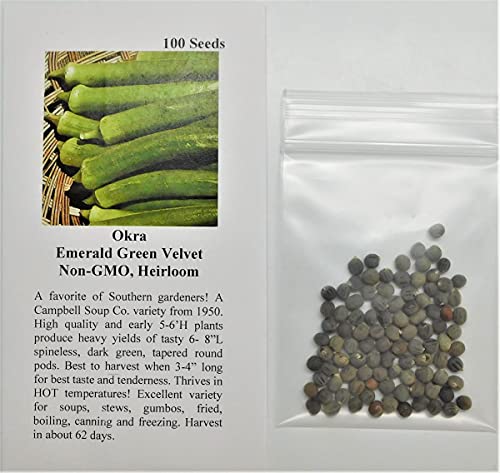 David's Garden Seeds Okra Emerald Green Velvet 6911 (Green) 100 Non-GMO, Heirloom Seeds