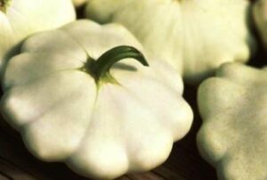 david’s garden seeds squash summer scallop early white fba-1195 (white) 25 non-gmo, heirloom seeds