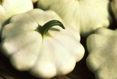 David's Garden Seeds Squash Summer Scallop Early White FBA-1195 (White) 25 Non-GMO, Heirloom Seeds