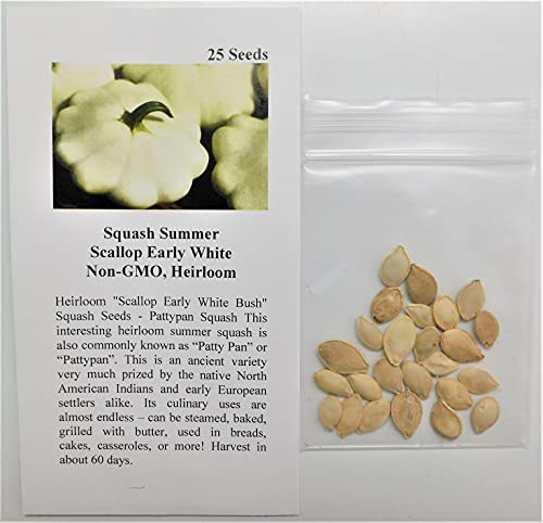 David's Garden Seeds Squash Summer Scallop Early White FBA-1195 (White) 25 Non-GMO, Heirloom Seeds