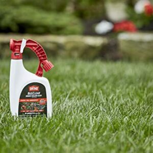 Ortho BugClear Insect Killer for Lawns & Landscapes Ready to Spray - Kills Ants, Spiders, Fleas, Ticks, Armyworms & Other Insects, Outdoor Bug Spray for up to 6 Month Insect Control, 32 oz.