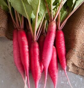 david’s garden seeds radish shunkyo semi-long 6611 (pink) 200 non-gmo, heirloom seeds