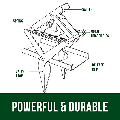 Garsum Scissor Mole Trap for Lawns, Mole Kill for lawns, EasySet Eliminator Vole Gopher Traps, Reusable Quick and Clean Kill,1 Scissor Trap