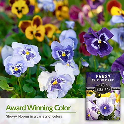 Survival Garden Seeds - Swiss Giant Mix Pansy Seed for Planting - 2 Packs with Instructions to Plant and Grow Beautiful and Edible Pansies in Your Home Vegetable Garden - Non-GMO Heirloom Variety