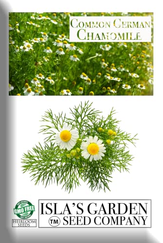 "Common German Chamomile" Flower/Herb Seeds for Planting, 1000+ Seeds Per Packet, (Isla's Garden Seeds), Non GMO & Heirloom Seeds, Botanical Name: Matricaria chamomilla, Great Herb Garden Gift