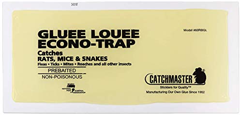 Catchmaster Heavy Duty Rat, Mouse, Rodent, and Snake Glue Boards - 30 Rat Traps Per Pack