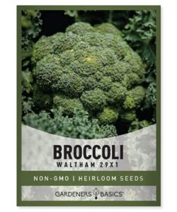 broccoli seeds for planting is a great heirloom, non-gmo vegetable variety- 1 gram seeds great for outdoor spring, winter, and fall gardening by gardeners basics