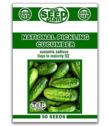 National Pickling Cucumber Seeds - 50 Seeds Non-GMO