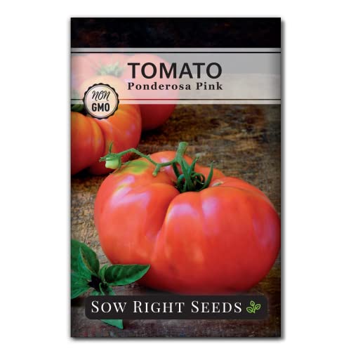 Sow Right Seeds - Colorful Tomato Seed Collection for Planting - Yellow Brandywine, Kellogg's Breakfast, Ponderosa Pink, and Cherokee Purple - Non-GMO Heirloom Varieties to Plant Home Vegetable Garden