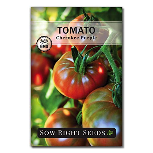 Sow Right Seeds - Colorful Tomato Seed Collection for Planting - Yellow Brandywine, Kellogg's Breakfast, Ponderosa Pink, and Cherokee Purple - Non-GMO Heirloom Varieties to Plant Home Vegetable Garden