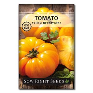 Sow Right Seeds - Colorful Tomato Seed Collection for Planting - Yellow Brandywine, Kellogg's Breakfast, Ponderosa Pink, and Cherokee Purple - Non-GMO Heirloom Varieties to Plant Home Vegetable Garden