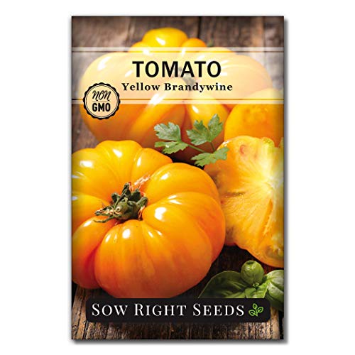 Sow Right Seeds - Colorful Tomato Seed Collection for Planting - Yellow Brandywine, Kellogg's Breakfast, Ponderosa Pink, and Cherokee Purple - Non-GMO Heirloom Varieties to Plant Home Vegetable Garden