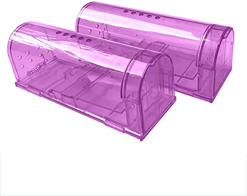 Humane Smart No Kill Mouse Trap, Cruelty Free Live Catch and Release, Easy to Set for Small Rodents Such as Mouse Mice Vole Mole Chipmunk, Reusable for Kitchen Garden Storage Garage (Purple)