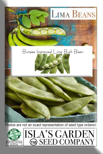 Burpee Improved Lima Bush Bean Seeds for Planting, 30+ Heirloom Seeds Per Packet, (Isla's Garden Seeds), Non GMO Seeds, Botanical Name: Phaseolus lunatus, Great Home Garden Gift