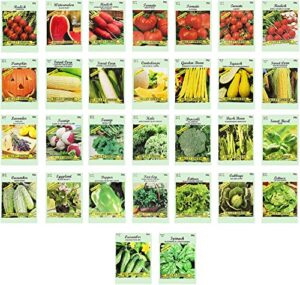 30 assorted packages of vegetable seeds, 15+ varieties, all seeds are heirloom, 100% non-ge