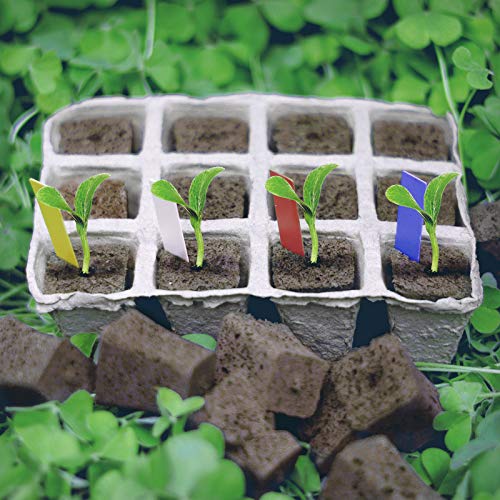 YBB 50 Pcs Seed Starter Plugs, Rapid Root Plugs Organic Plant Starters Sponges Hydroponics Supplies with 60 Pcs Labels