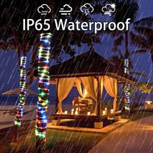 196ft 600 LED Rope Lights Outdoor Waterproof with Remote 60 Meters Solar Powered String Lights 8 Modes Super Long Fairy Light with Timer Solar Tube Lights for Garden Deck Patio Pool Weeding Yard Decor