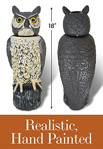 Dalen SOL-R Action Solar Fake Owl Decoy to Scare Birds Away from Gardens, Rooftops, and Patios - Scarecrow Provides Chemical-Free Pest Control - Safe and Humane, 18" 360º Rotating Head