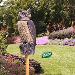 Dalen SOL-R Action Solar Fake Owl Decoy to Scare Birds Away from Gardens, Rooftops, and Patios - Scarecrow Provides Chemical-Free Pest Control - Safe and Humane, 18" 360º Rotating Head