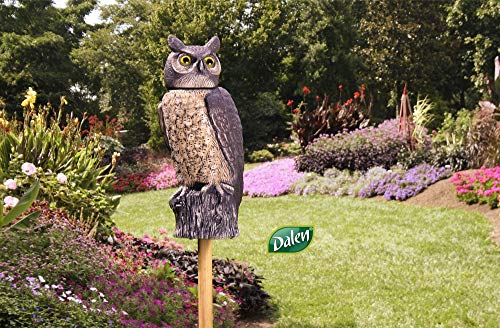 Dalen SOL-R Action Solar Fake Owl Decoy to Scare Birds Away from Gardens, Rooftops, and Patios - Scarecrow Provides Chemical-Free Pest Control - Safe and Humane, 18" 360º Rotating Head