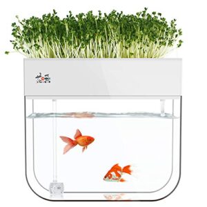 hydroponic garden aquaponic fish tank plants growing system self-cleaning seed sprouter tray