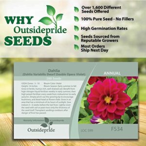 Outsidepride Dahlia Opera Violet Garden Cut Flower Seeds Great for Bouquets & Dried Floral Arrangements - 200 Seeds