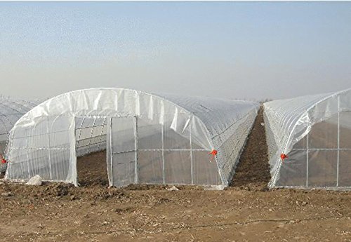 Agfabric 3.9Mil Plastic Covering Clear Polyethylene Greenhouse Film UV Resistant for Grow Tunnel and Garden Hoop, Plant Cover&Frost Blanket for Season Extension, 6x16ft