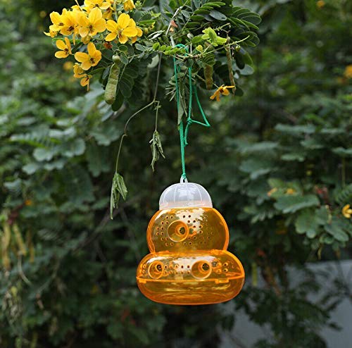 Wasp Trap Bee Traps Jar | Hornet Trap Yellow Jacket Trap Attracts Hornets Yellow Jackets Bees Wasps | Trap & Bee Catchers for Outside | Plastic Wasp Trap for Outdoors Catcher | 2pcs Beehive Wasp Trap