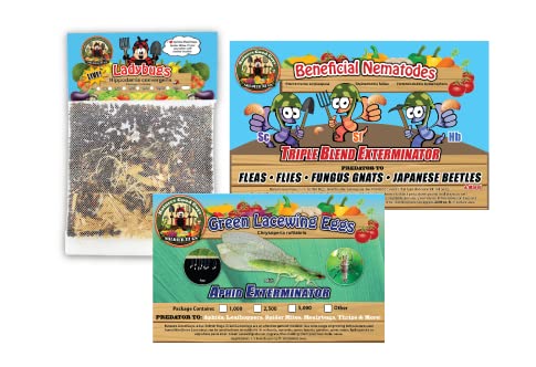 Nature's Good Guys General Predator Garden Pack 1,500 Ladybugs Plus 1,000 Lacewing Eggs Plus 5 Million Hb/Sc/Sf Nematodes