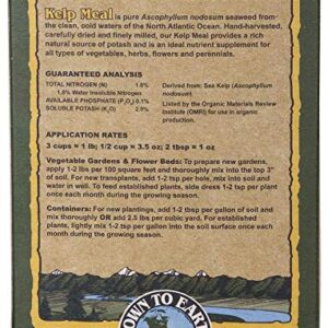 Down to Earth Organic Kelp Meal Fertilizer Mix 1-0.1-2, 0.5 lb