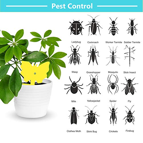 18 PCS Fruit Fly Trap Yellow Sticky Fungus Gnat Killer for Indoor and Outdoor Plant Insect Catcher for White Flies Mosquitos Fungus Gnats Flying Insects Houseplant Gift for Flower Lover (B24 18+6)