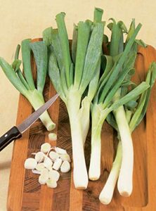 large american flag leek seeds for planting (300mg) | non gmo, heirloom, usa seeds | garden vegetable scallion onion | crisp sweet flavor great tasting