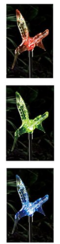 Solaration™ Black Pole Solar Garden Decor Hummingbird Stake Lights; 3 Packs in 1