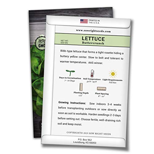 Sow Right Seeds - Buttercrunch Lettuce Seed for Planting - Non-GMO Heirloom Packet with Instructions to Plant a Home Vegetable Garden, Indoors or Outdoor; Great Gardening Gift (4)