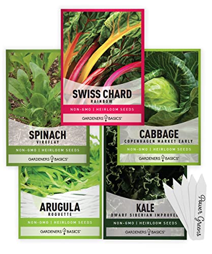 Power Greens Seeds for Planting Individual Packets 5 Variety Pack - Arugula, Spinach, Swiss Chard, Kale, Cabbage Seeds for Your Heirloom Salad, Winter, Fall and Cool Weather Garden by Gardeners Basics