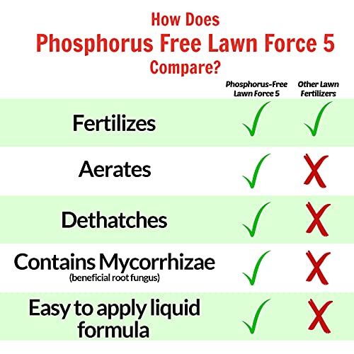 Nature’s Lawn & Garden – Lawn Force 5 Phosphorus Free – Liquid Lawn Fertilizer, Aerator, Dethatcher, with Humic & Fulvic Acid, Kelp Seaweed, and Mycorrhizae – Quart with Hose End Sprayer Attachment