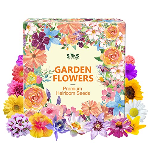 35,000+ Seeds in Bulk 2.1oz Packet Growing Wild Flowers to Attract Bees, Butterflies and Birds, 30 Annual Perennial Wildflower Seeds Mix for Planting Indoor & Outdoors