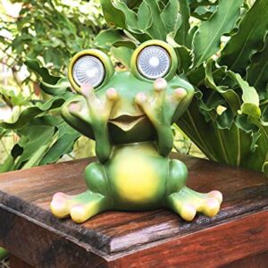 TIBLEN Solar Powered Frog Outdoor LED Garden Light Decor (See - NO)