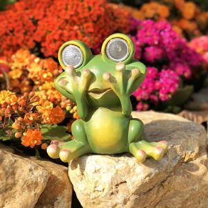 TIBLEN Solar Powered Frog Outdoor LED Garden Light Decor (See - NO)