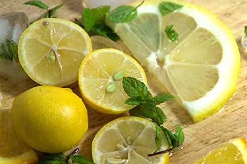 30pcs Lemon Tree Seeds for Planting, Non-GMO Heirloom and Organic, High Survival Rate Fruit for Home Garden