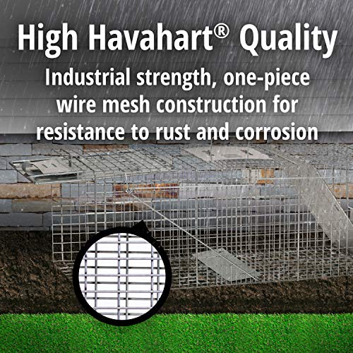 Havahart 1045SR Large 2-Door Humane Catch and Release Live Animal Trap for Armadillos, Beavers, Bobcats, Small Dogs, Cats, Foxes, Groundhogs, Nutria, Opossums, Raccoons, and Similar-Sized Animals