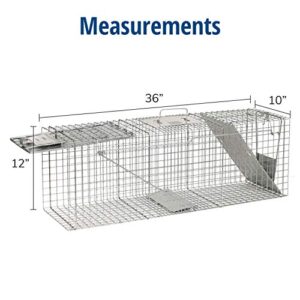 Havahart 1045SR Large 2-Door Humane Catch and Release Live Animal Trap for Armadillos, Beavers, Bobcats, Small Dogs, Cats, Foxes, Groundhogs, Nutria, Opossums, Raccoons, and Similar-Sized Animals