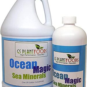 Ocean Magic Sea Mineral Fertilizer by GS Plant Foods(1 Gallon) - Soil Mineral Health Improvement Liquid Concentrate - Sea Minerals for Lawn and Turf, Gardens & House Plants